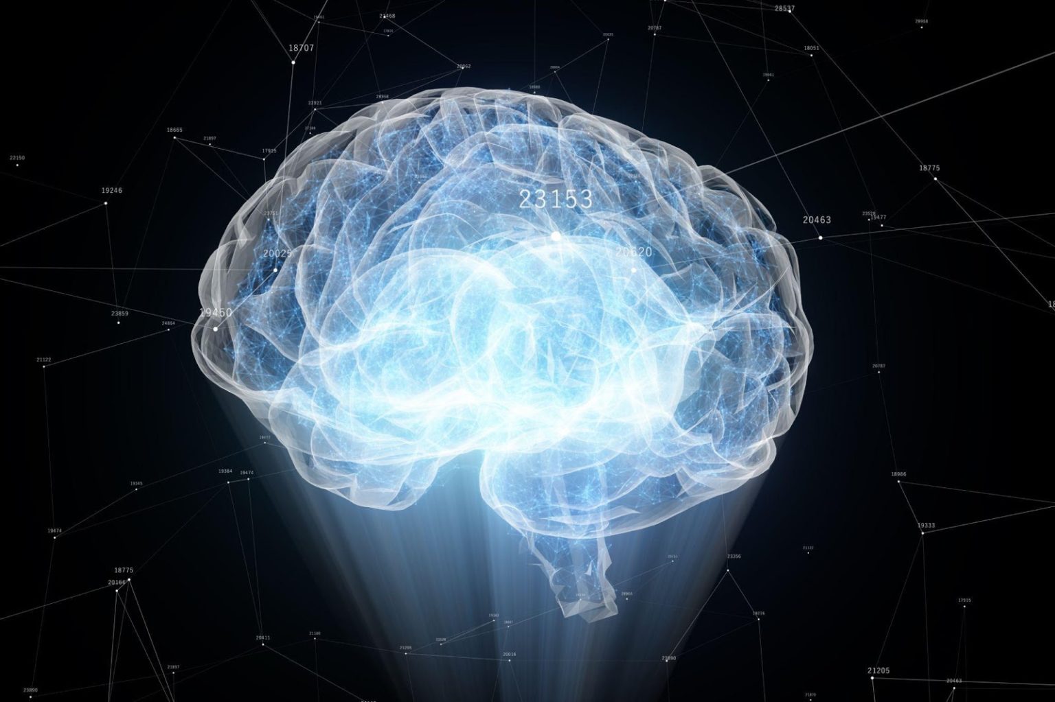 How To Become Human Calculator Tips And Tricks How To Become Human Calculator Tips And Tricks